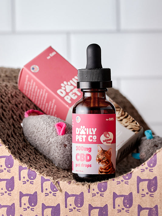 CBD Pet Drops for Cats - Salmon Flavored - 300mg – Daily Pet Co.