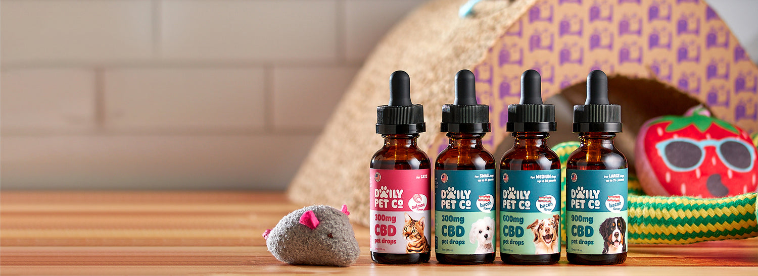 Daily Wellness Products for our furry friends! – Daily Pet Co.